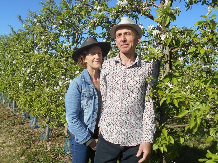 Vente de pommes bio producteur au verger Indre-et-loire